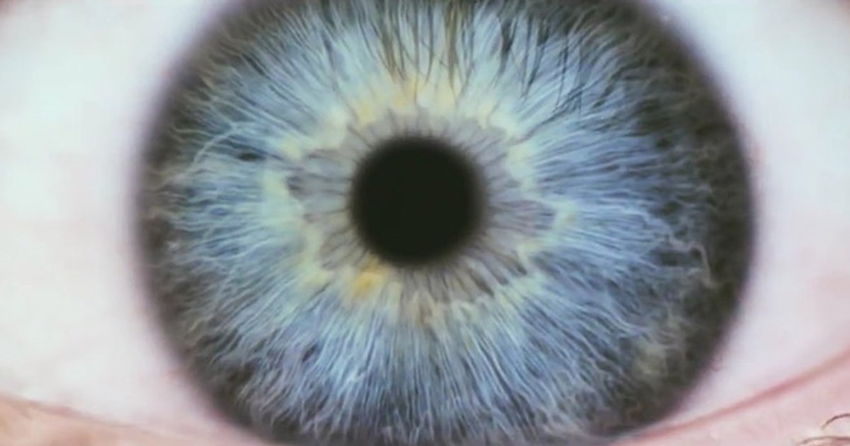 SIREN | Infiniti | Eau Rouge | Bespoke Music Composition, Sync ...