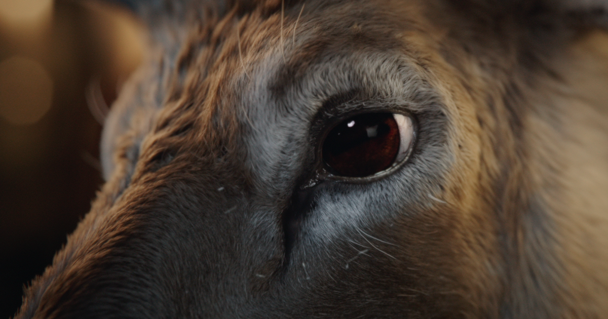 SIREN | McDonald's Christmas Teaser|#Reindeer Ready| Music Supervision ...
